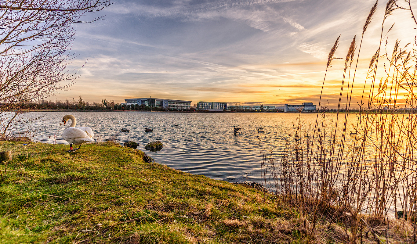 Eco-friendly Things To Do in Doncaster